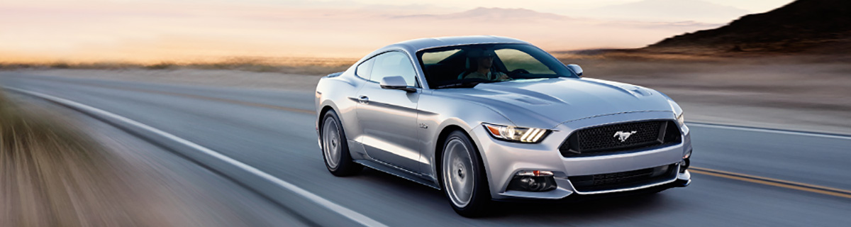 Clarks Automotive Group – 615-203-5077